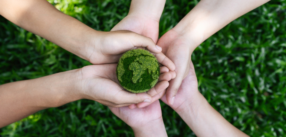 Products contributing to deforestation - Ekotox EU